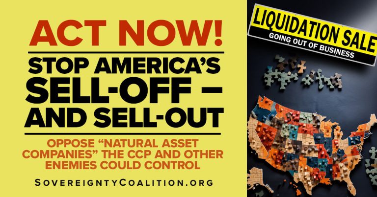 CAMPAIGN ENDED | STOP AMERICA’S SELL-OFF – AND THE SELL-OUT ...